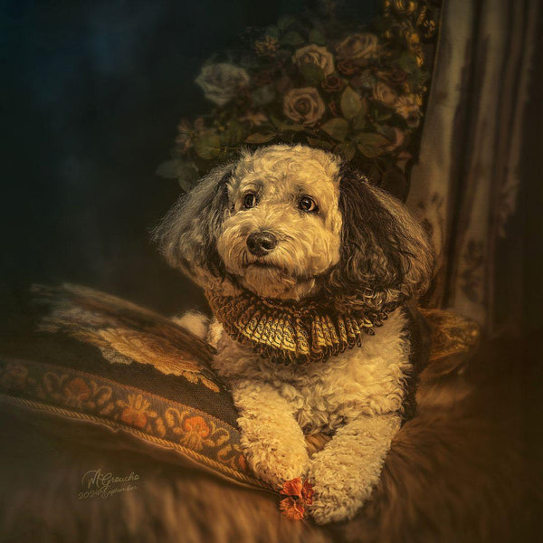 PAWTRAITS – MORO DESIGN STUDIO